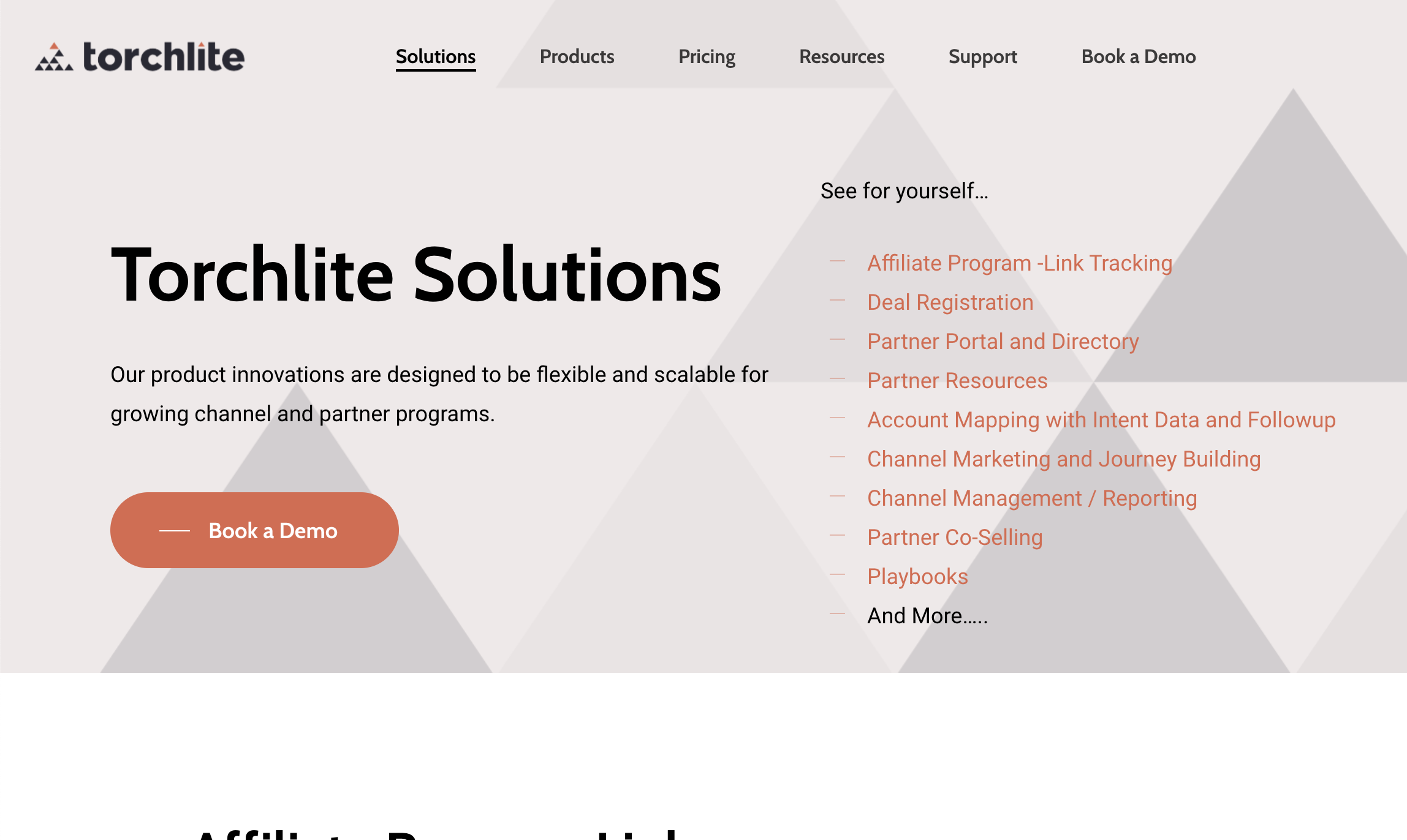 Solutions for Channel and Partner Programs - Torchlite